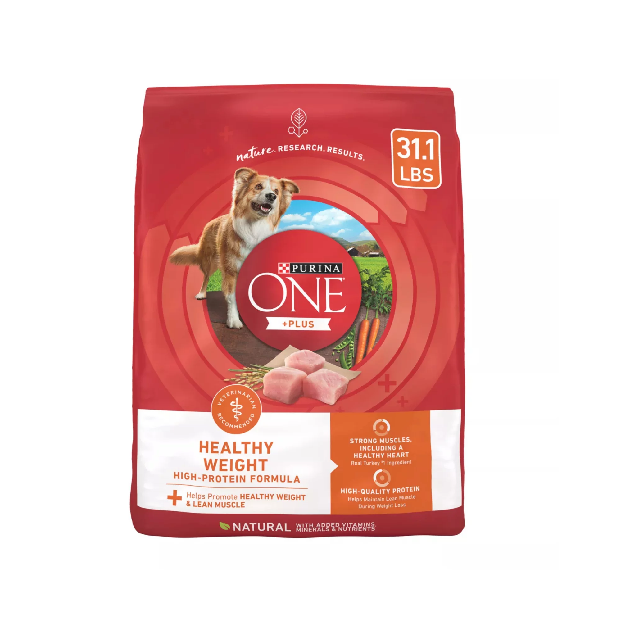 Adult Dog Dry Food with Turkey – High Protein Natural Formula ...