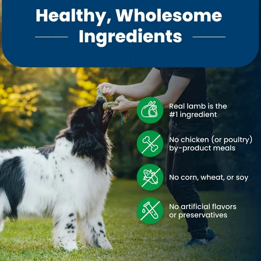 Life Protection Adult Dry Dog Food – Lamb and Brown Rice Recipe for ...