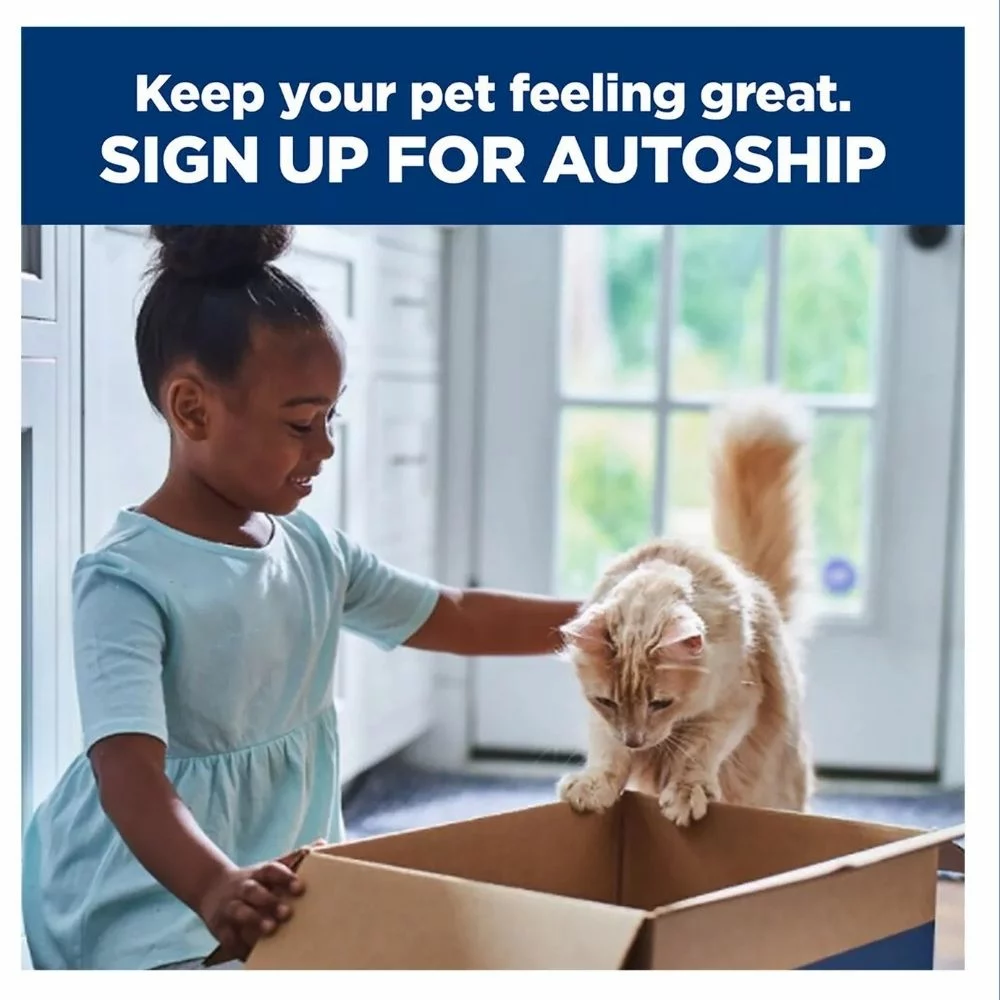 Urinary Care Cat Food – Chicken Recipe for Bladder Health and Balanced ...